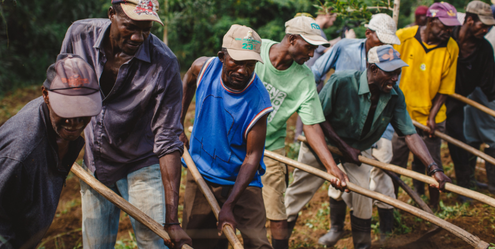 Agricultural Development - Meds & Food For Kids